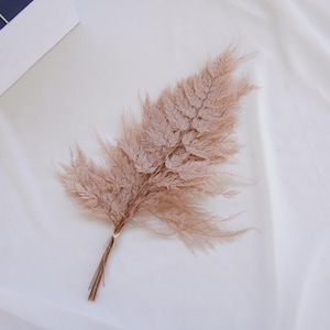 Preserved Fern，wedding Ferns，bleach Fern，white+coffee Color Fern Leaf ...