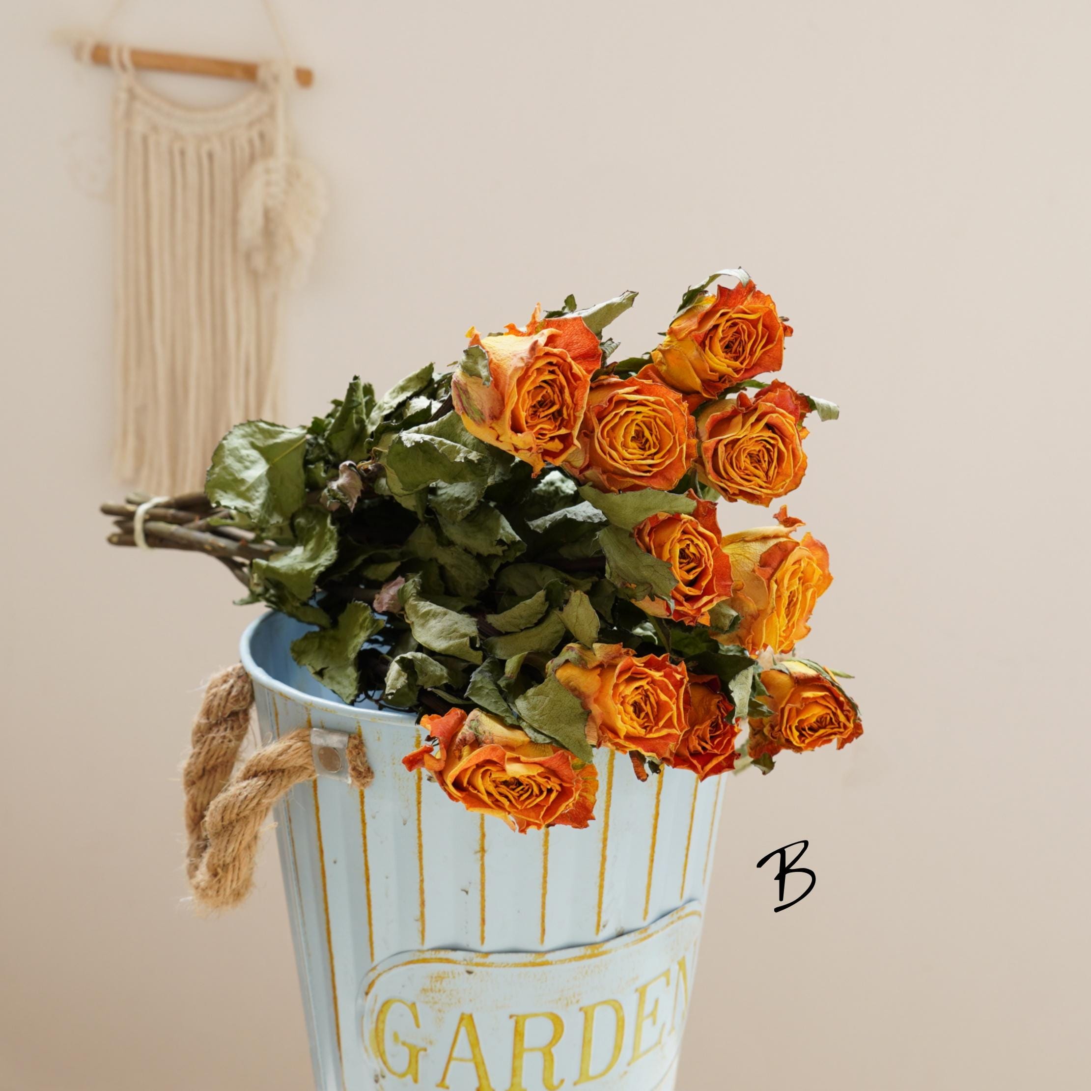 Dried Roses, Bohemian Wedding Rose Arrangements, Multicolored Dried ...