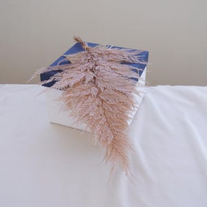 Preserved Fern，wedding Ferns，bleach Fern，white+coffee Color Fern Leaf ...