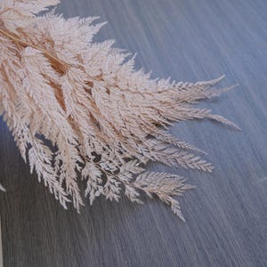 Preserved Fern，wedding Ferns，bleach Fern，white+coffee Color Fern Leaf ...