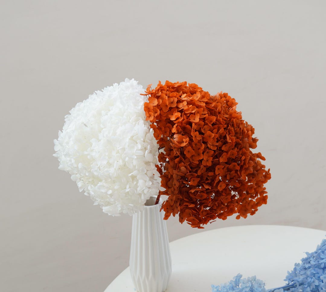Dried Hydrangea ，hydrangea Flower，burnt Orange Preserved Hydrangeas ...