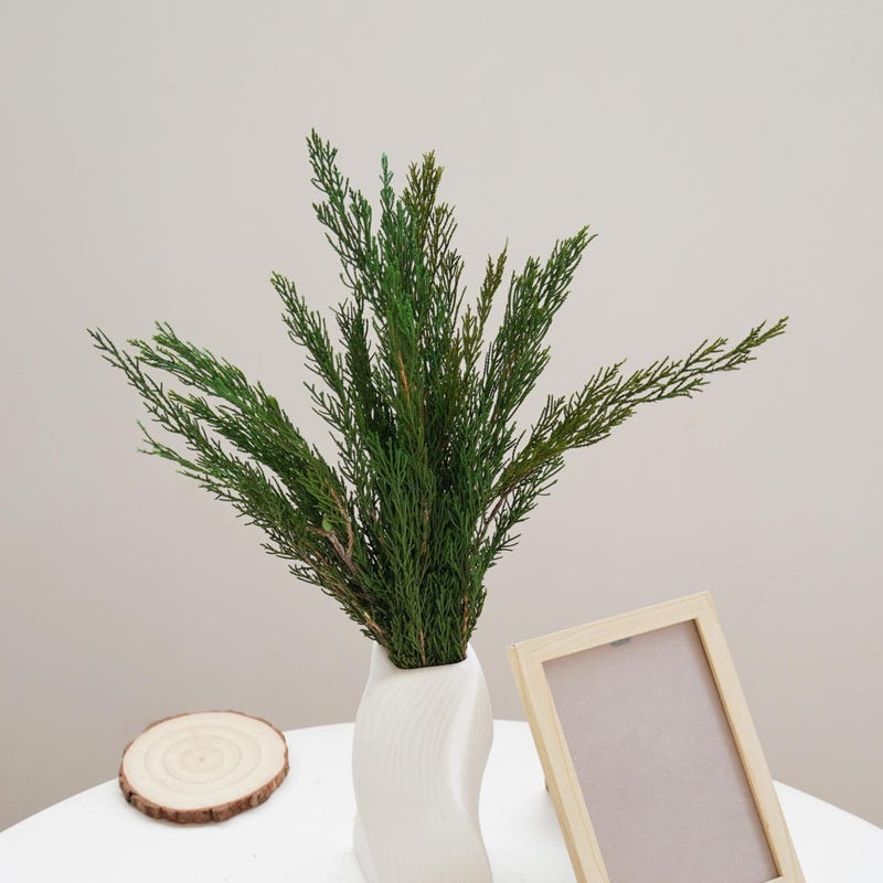 Dried Greenery Pine - Etsy