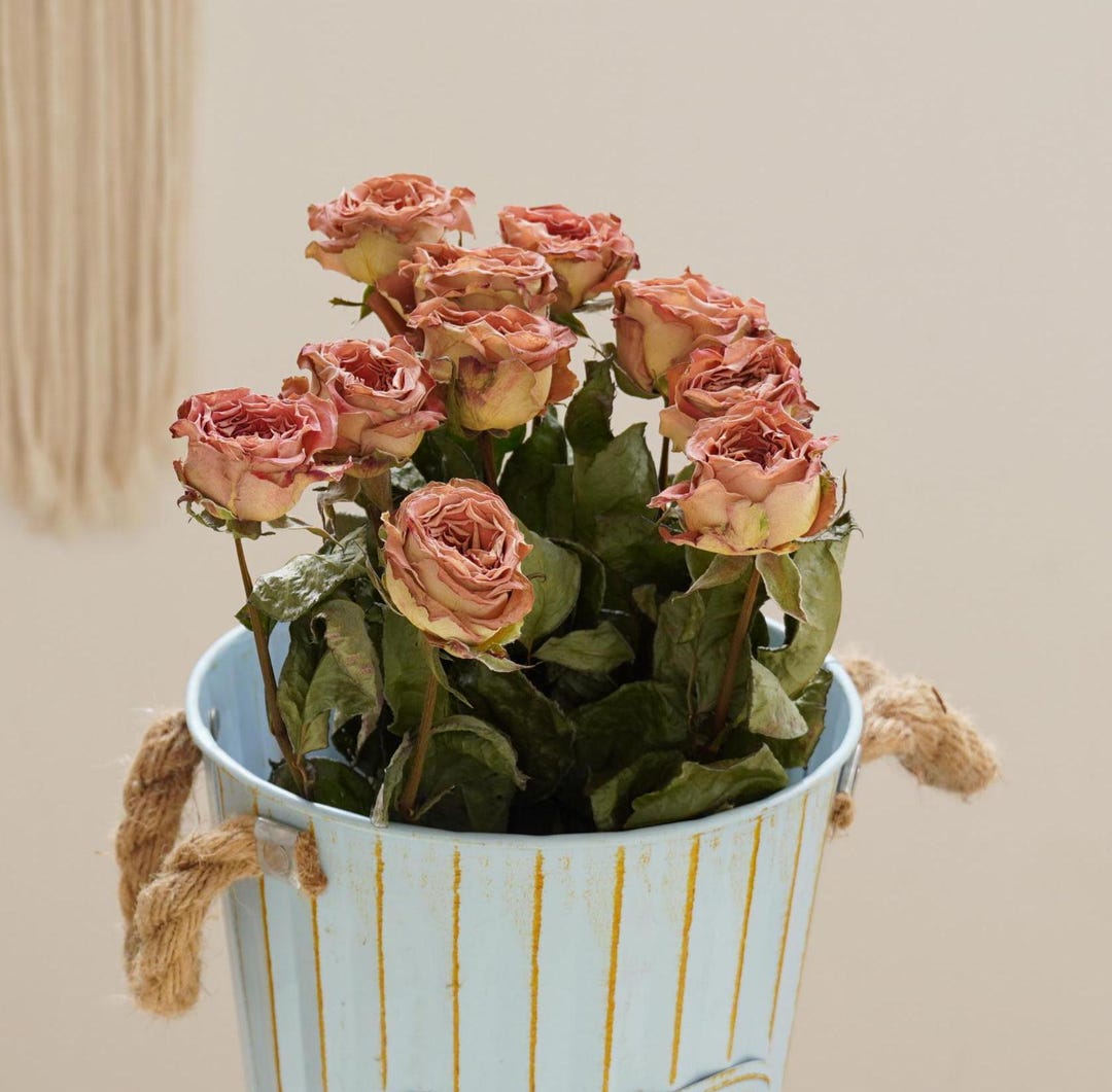 Dried Roses, Bohemian Wedding Rose Arrangements, Multicolored Dried ...