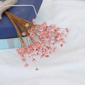 Mini Star Flowers, a Bouquet of Dried Flowers, Bohemian Wedding Home ...
