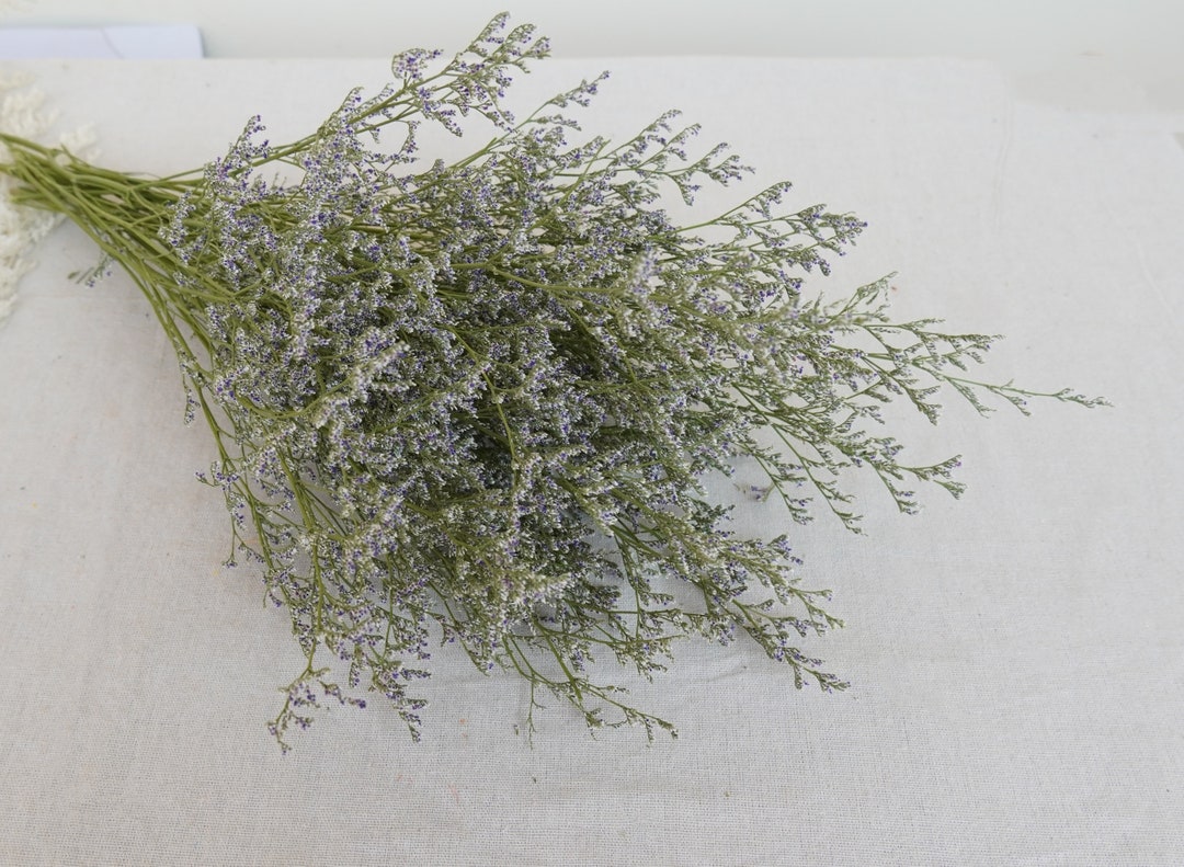 Preserved Caspia Bouquet, Preserved Dried Flowers, Wedding Flower ...