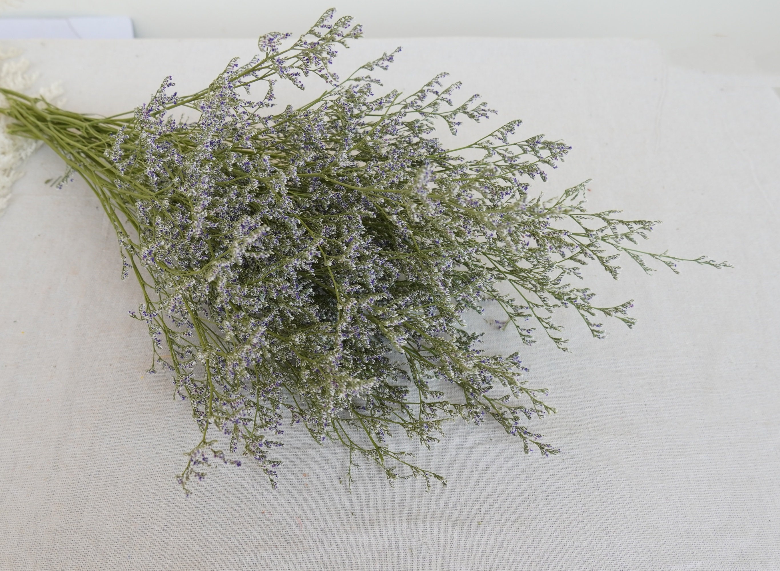Preserved Caspia Bouquet, Preserved Dried Flowers, Wedding Flower ...