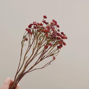 Natural Dried Flowers, Red Dried Flowers, Home Dried Flower Decoration ...