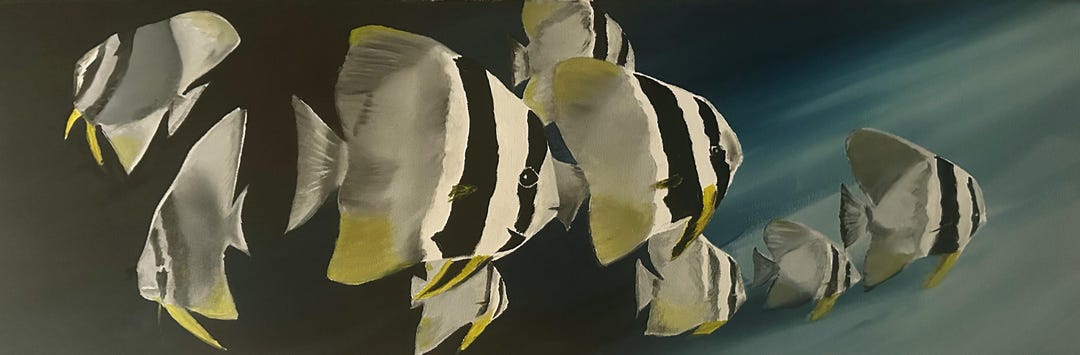 Title: Tetras Fish – Original Oil Painting by Terrence Bradley (10" X ...