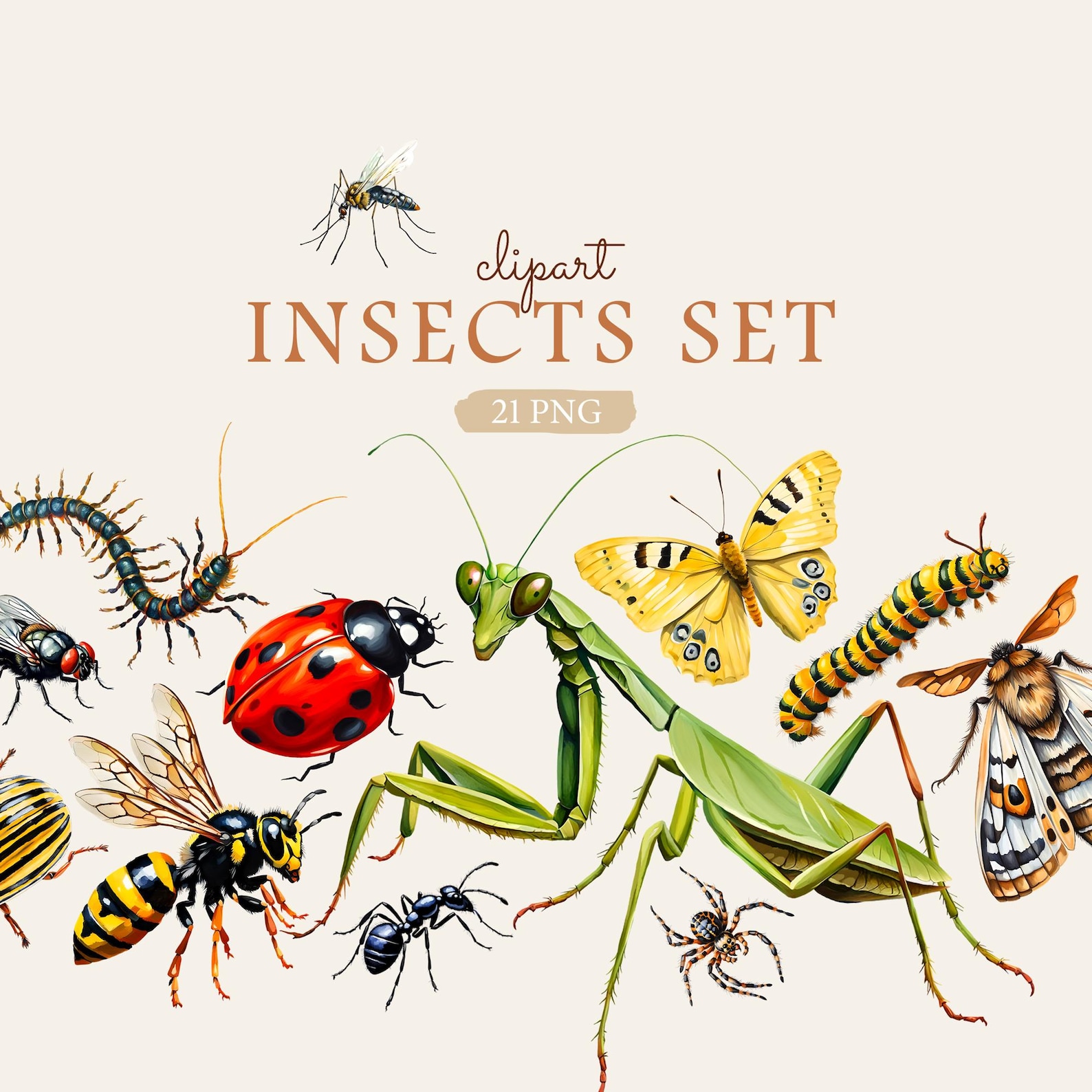 Watercolor Insects Clipart: Realistic Bug Illustrations (PNG Digital ...