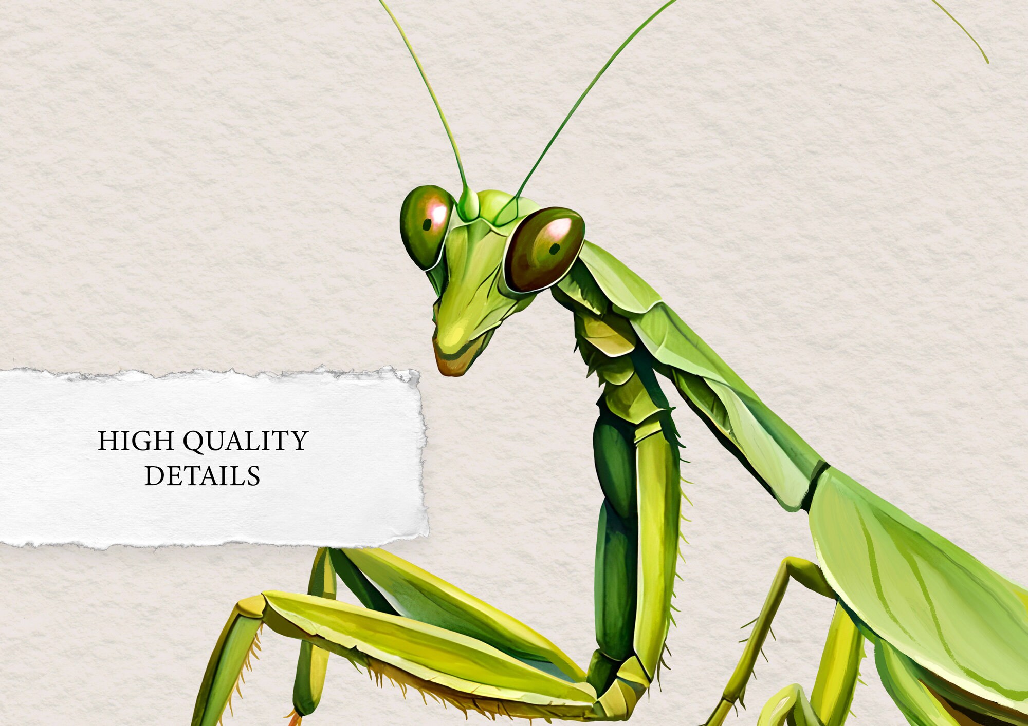 Insects Clipart | Realistic Bugs Illustration Design | Watercolor PNG ...