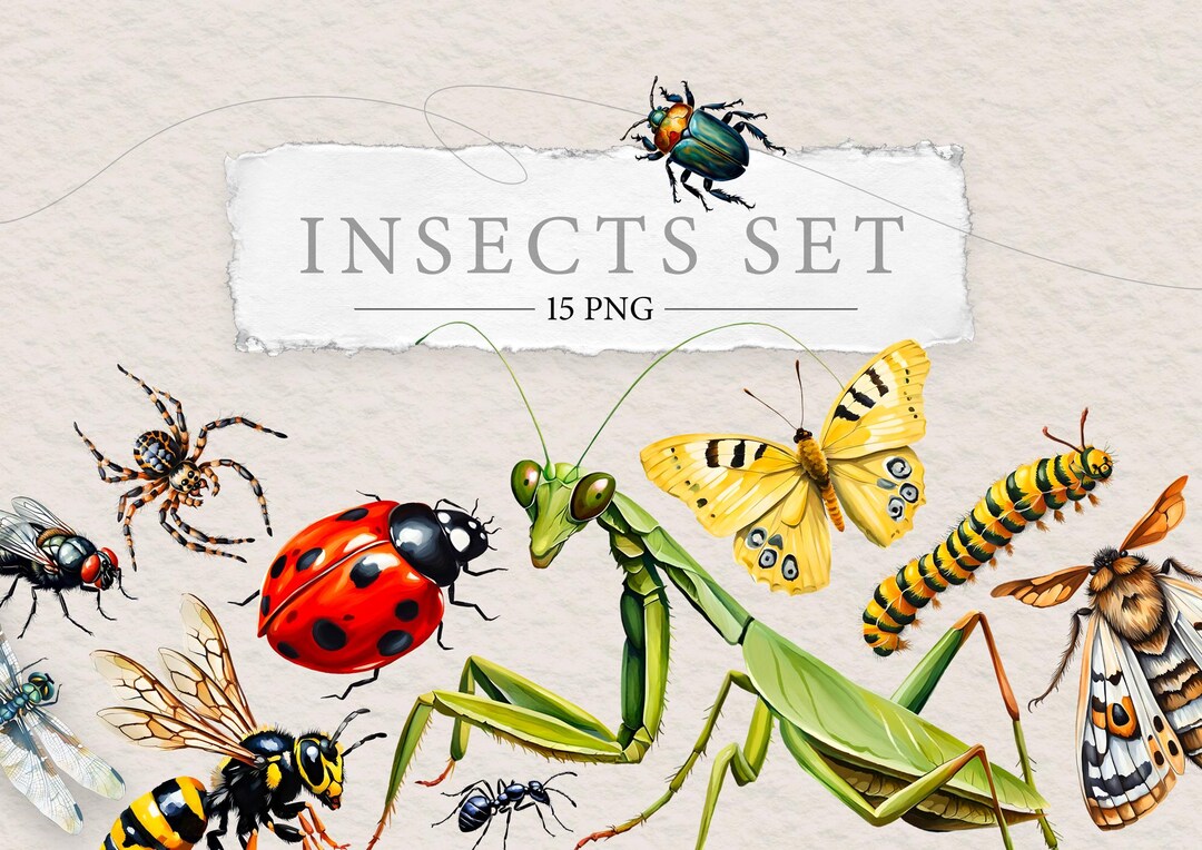 Insects Clipart | Realistic Bugs Illustration Design | Watercolor PNG ...