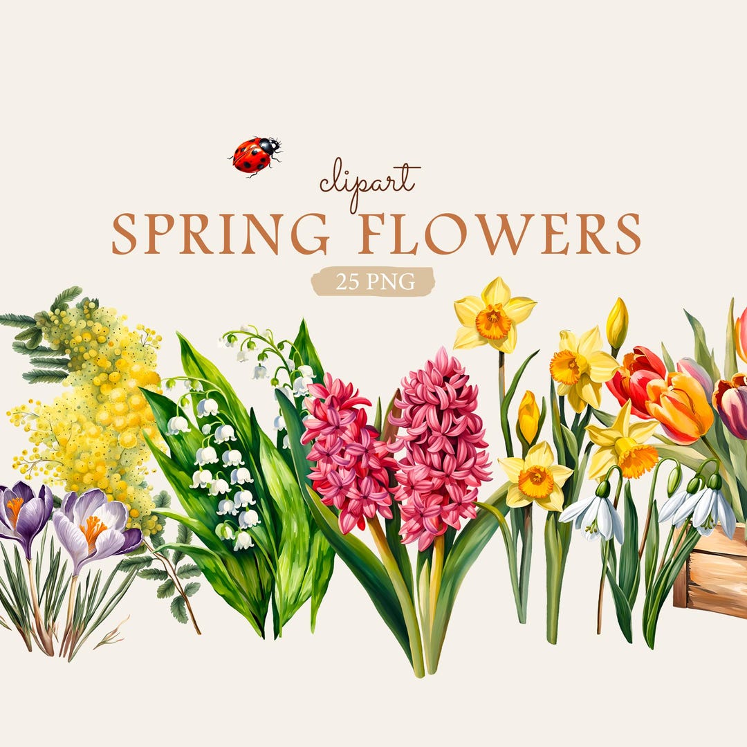 Spring Flower Clipart: Botanical Watercolor Illustrations (PNG Digital ...