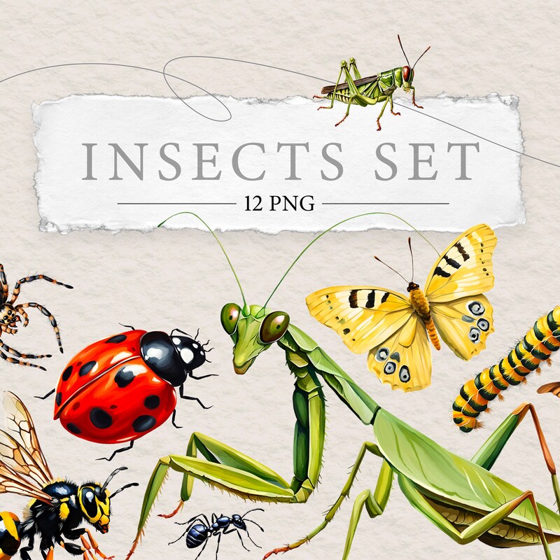 Insect Clipart - Etsy