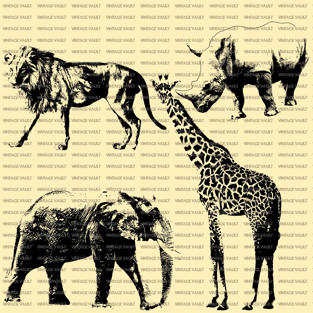 African Animal Vector Files 4 Pack Giraffe Elephant White Rhino Vectors ...