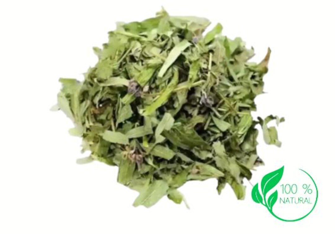 Vervain | Vervain Herb | Wildcrafetd Vervain| Vervain | Verbena ...