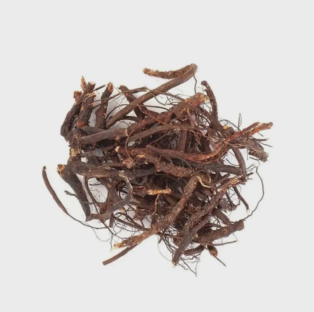 Cinquefoil Root | Potentilla Reptans | Wildcrafted Plant Root | Herbal ...