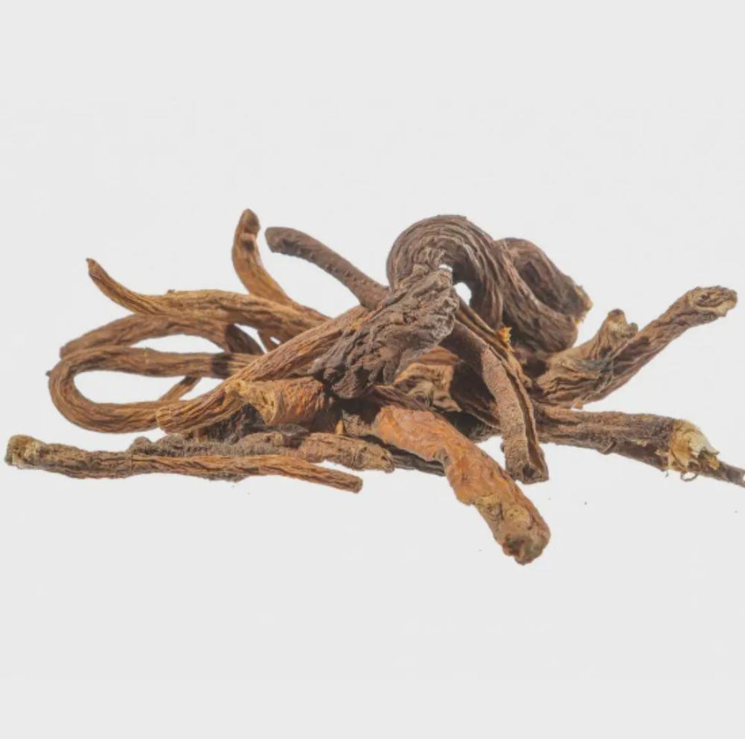 YELLOW GENTIAN ROOT | Gentiana Lutea | Gentian Root Tea | Herbal Tea ...