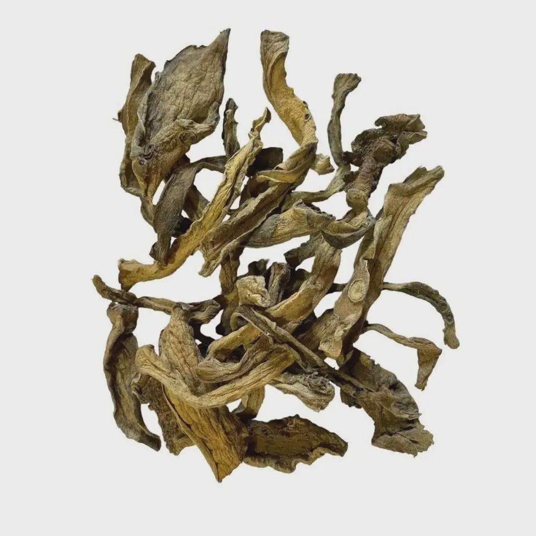 White Water Lily Root | Nymphaea Alba Rhizoma | Herbal Tea| Premium ...