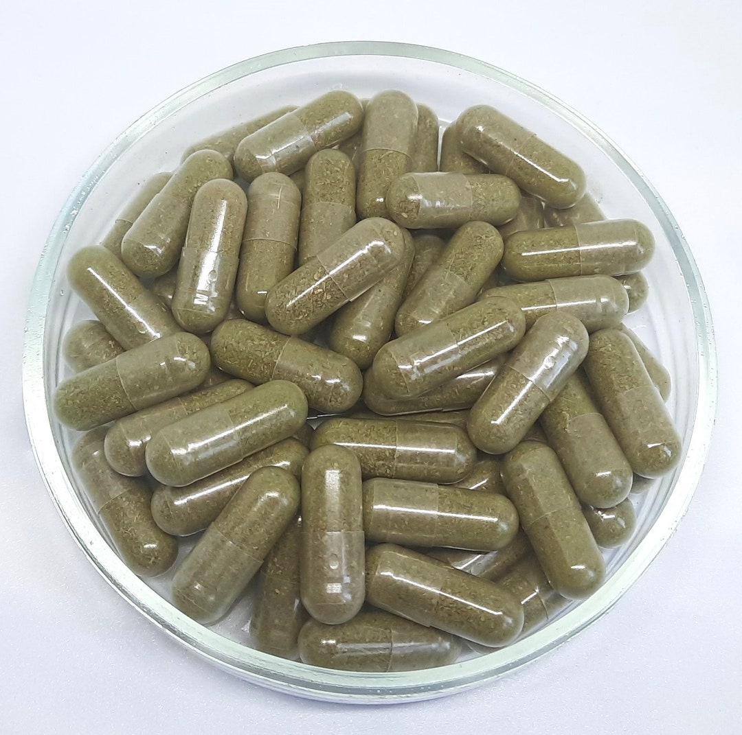 Wormwood Capsules - 500 Mg Vegan Capsules Herbal - Etsy