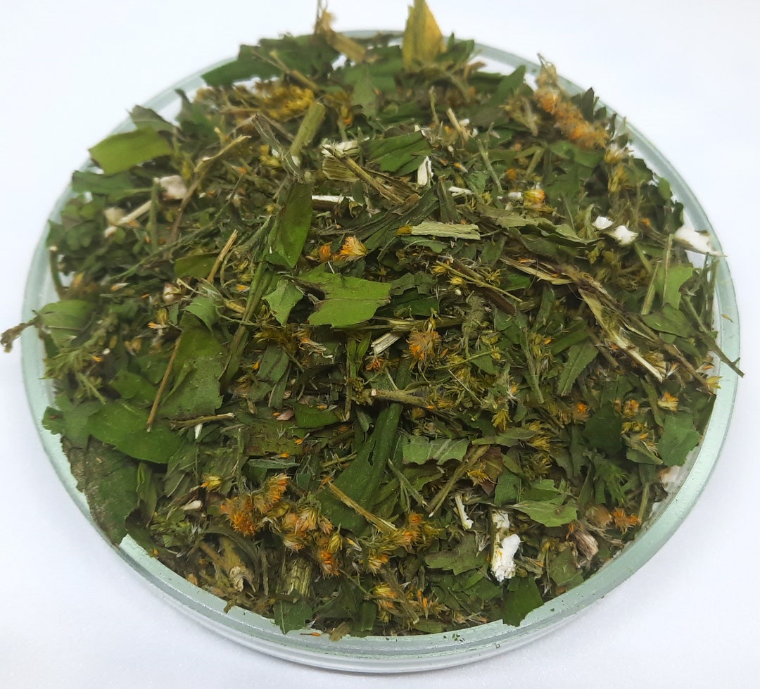 Goldenrod Flower and Leaf | Goldenrod Tea | Goldenrod | Solidago ...