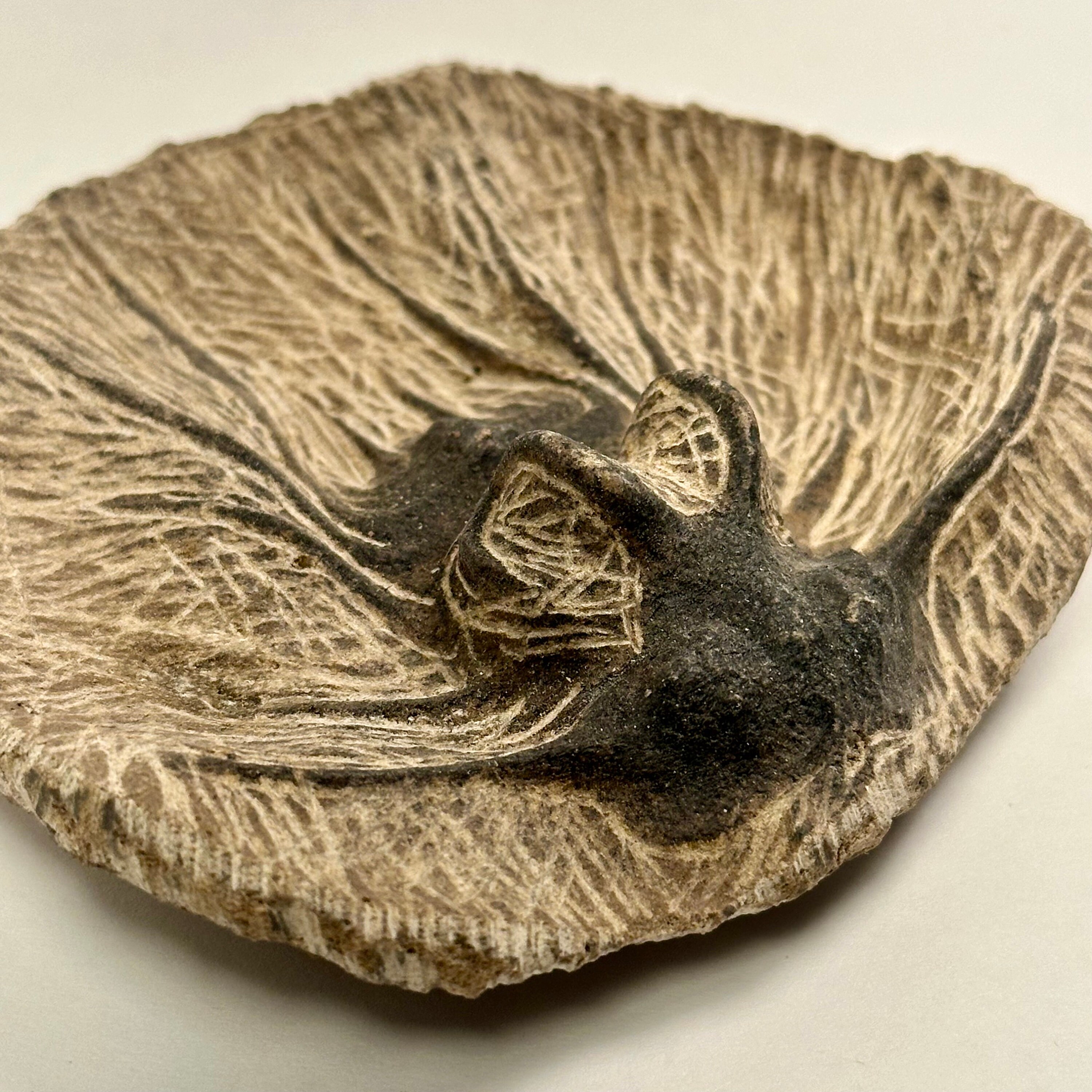 DICRANURUS Monstrosus Moroccan TRILOBITE Full Cast Copy on the ...