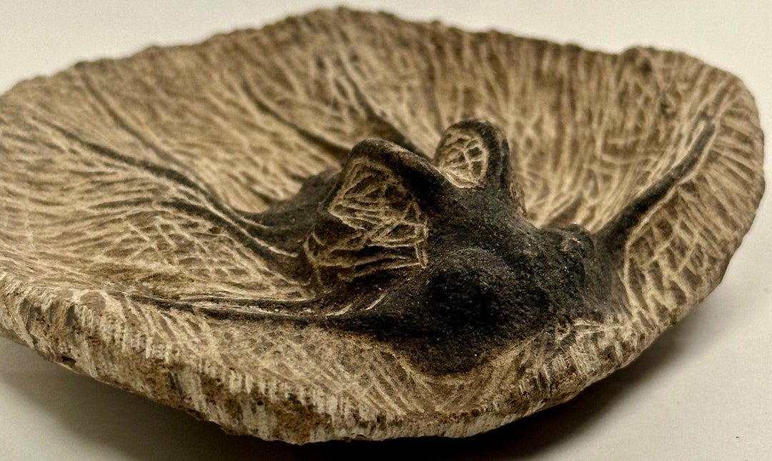 DICRANURUS Monstrosus Moroccan TRILOBITE Full Cast Copy on the ...