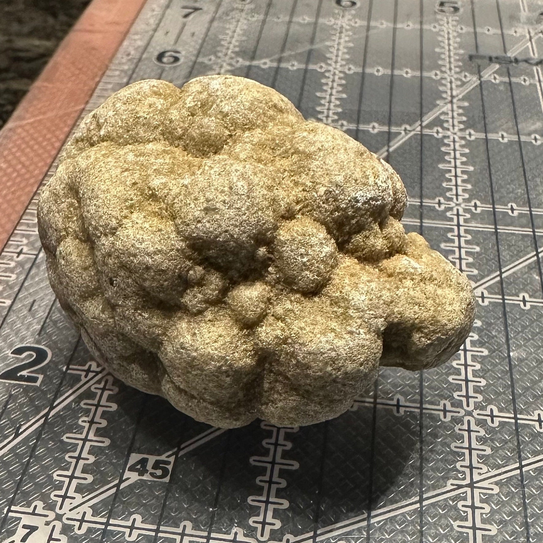 Pseudomorph Sandstone/calcite Rock Formation florida - Etsy