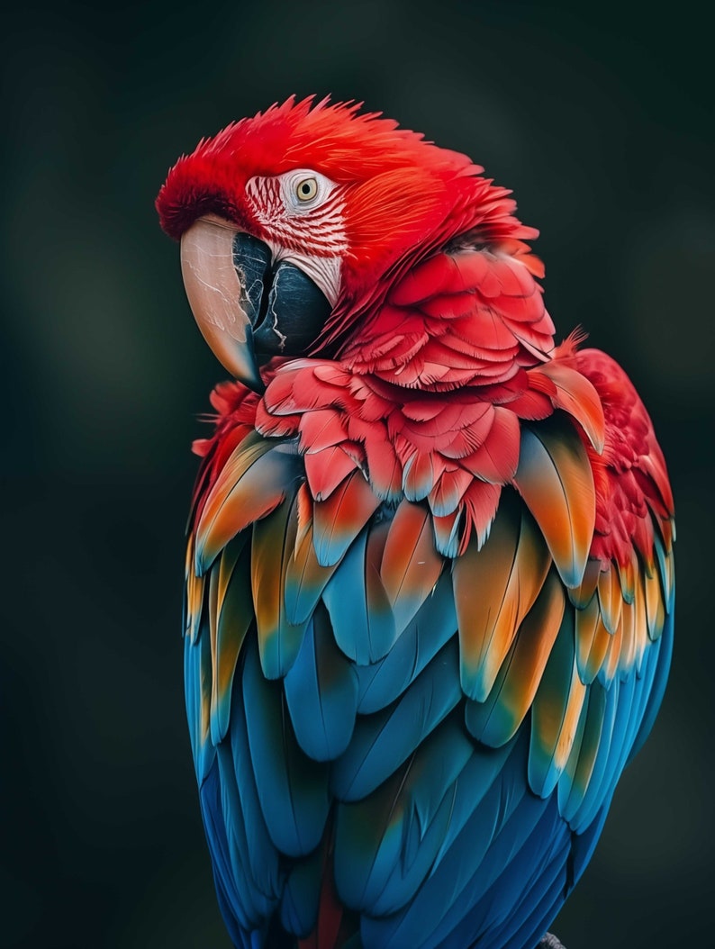 Printable Art: Parrot / Scarlet Macaw (v1) - Etsy