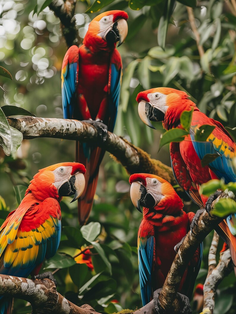 Printable Art: Parrot / Scarlet Macaw Group in Tree (v1) - Etsy