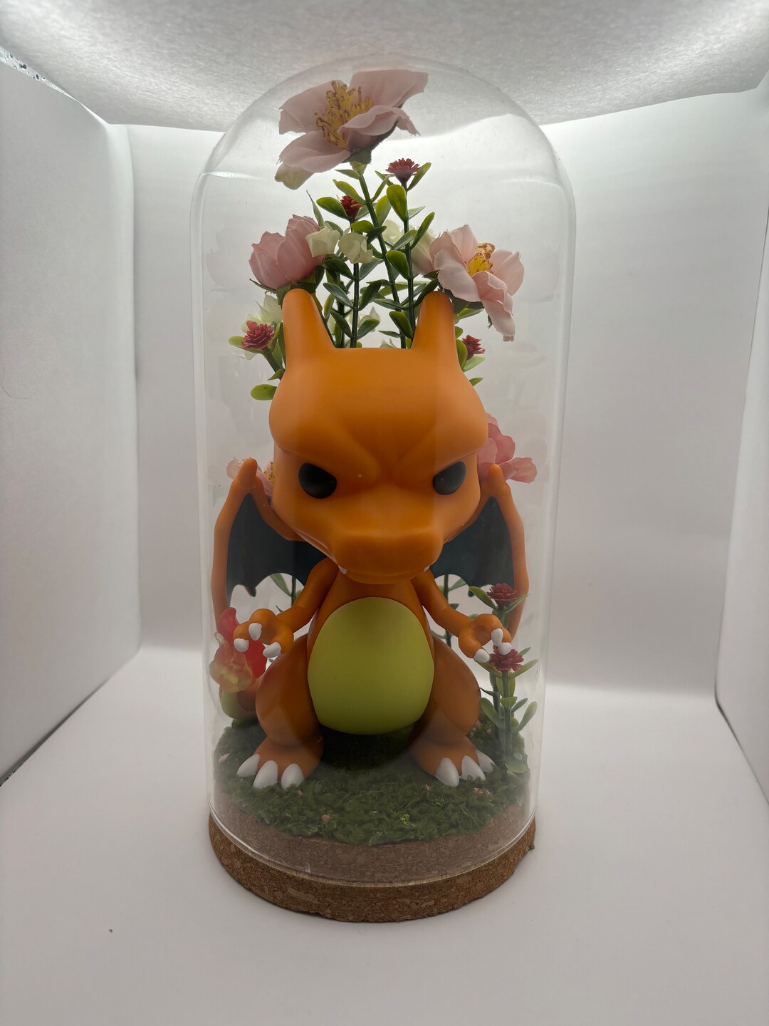 Charizard Glass Dome - Etsy