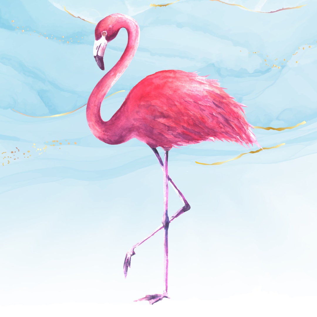 Pink Flamingo Art Print, Art for Bird Lovers, Wall Art for Office, Birder Poster, Bird Art, Bird ...
