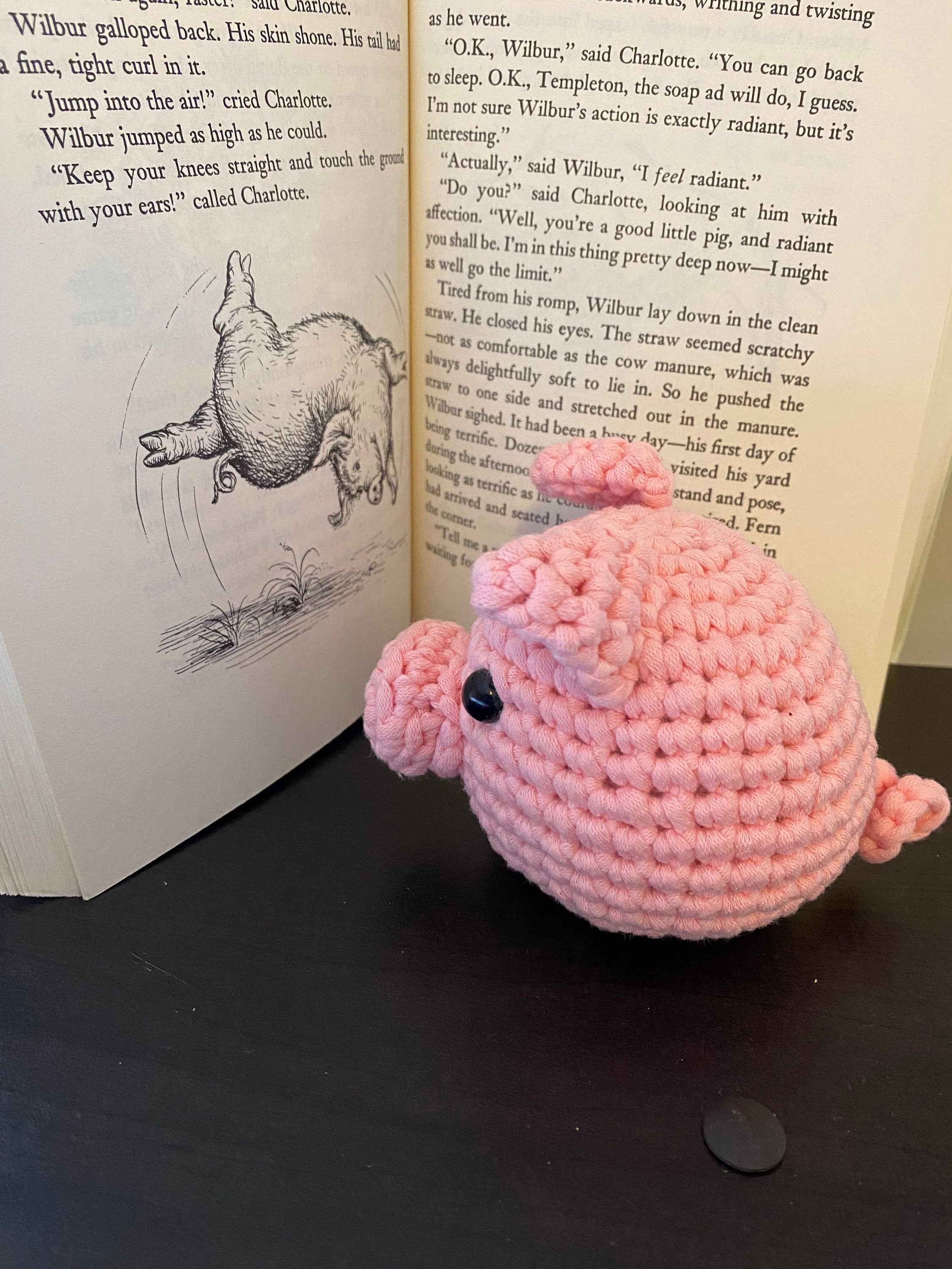 Charlottes Web & Wilbur the Stuffed Pig - Etsy