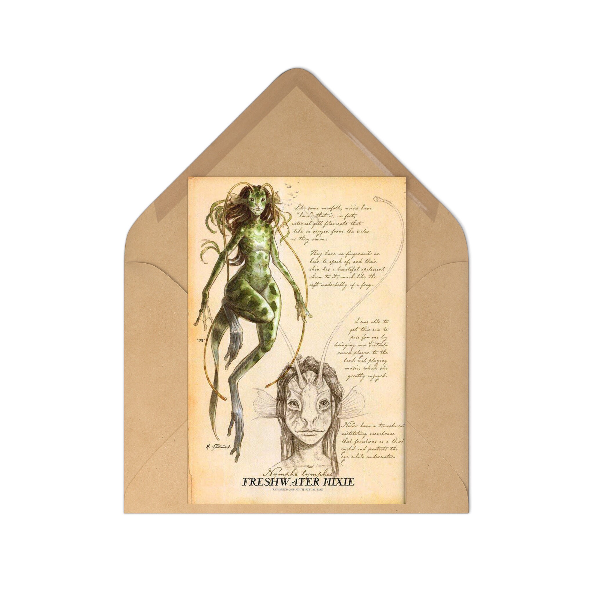 PRINTED 50 PCS Mythological Creatures Wall Mythological Creatures Wall ...