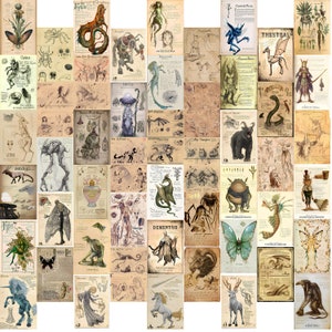 PRINTED 50 PCS Mythological Creatures Wall Mythological Creatures Wall ...