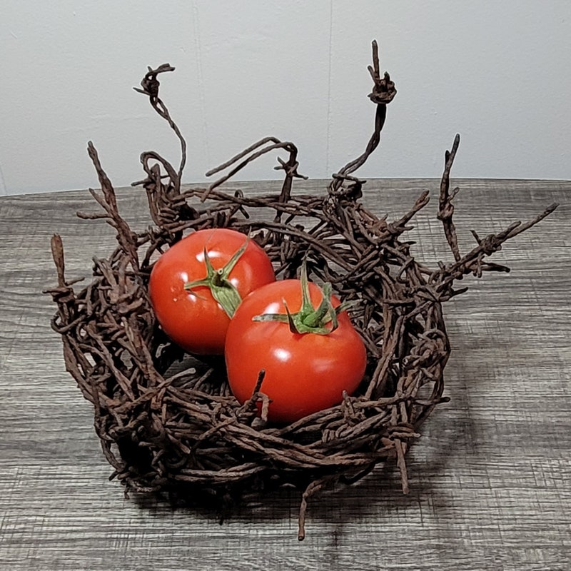 Rusty Barbed Wire - Etsy