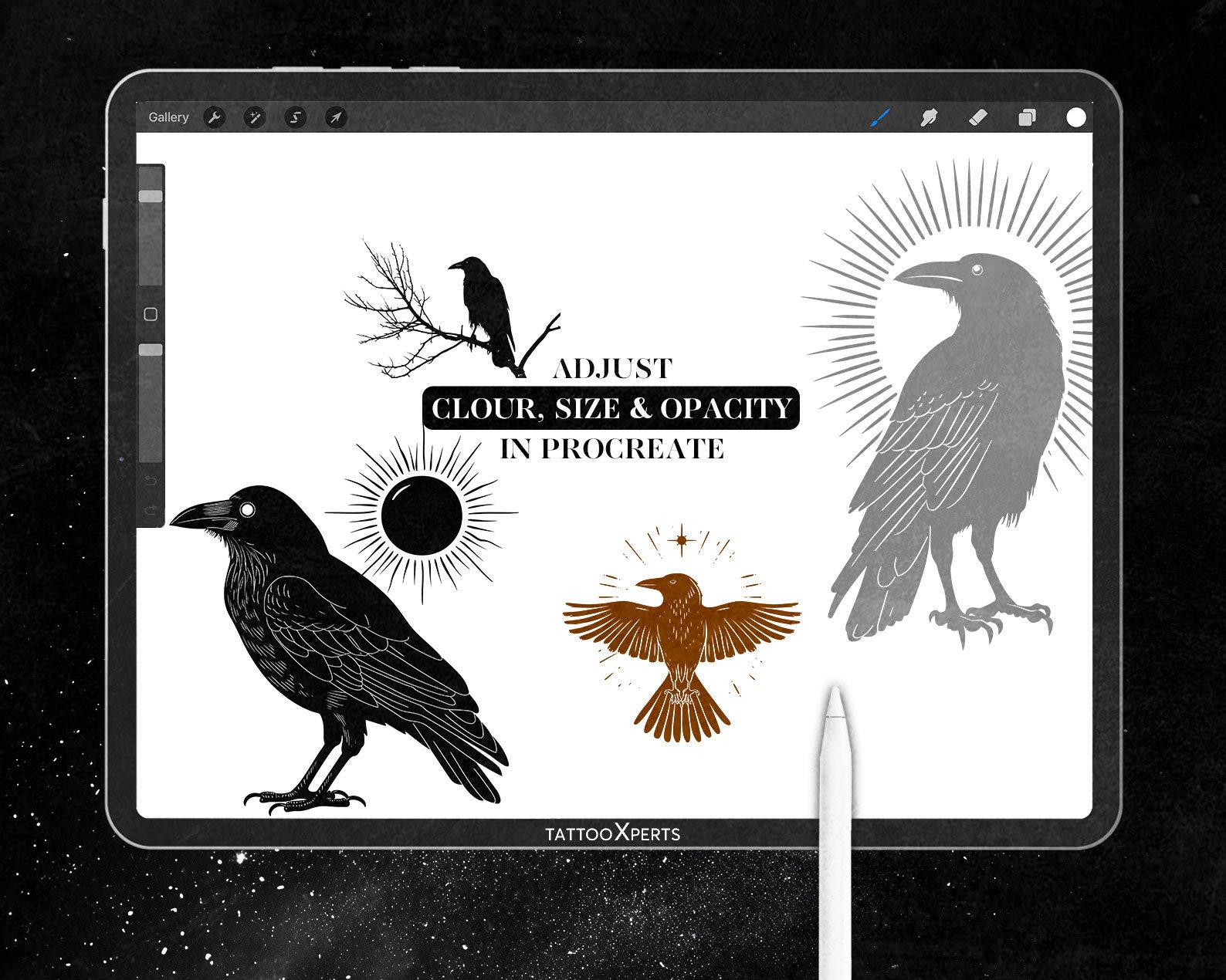 50 Crow Designs INSTANT DOWNLOAD Animal Stamps Procreate Brushes Tattoo ...