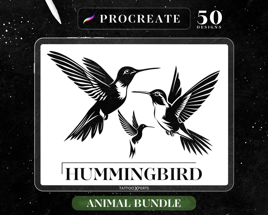 50 Hummingbird Designs INSTANT DOWNLOAD Animal Stamps Procreate Brushes ...