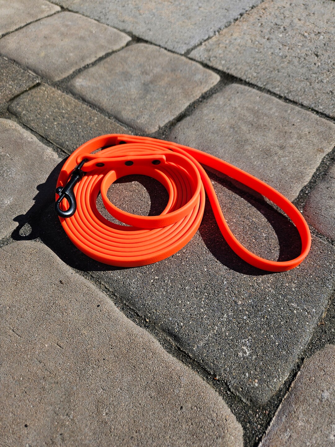 Long Leash Made With 1/2 Inch Biothane®, 10, 15, 20, and 30ft - Etsy