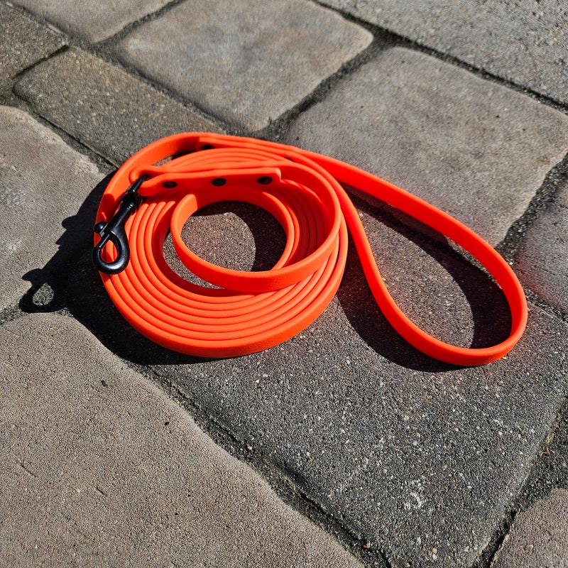 Long Dog Lead Biothane - Etsy