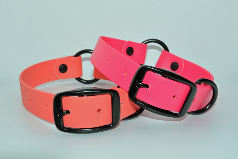 Biothane® Dog Collar - Etsy