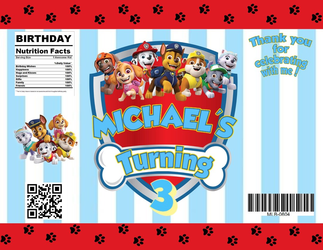 Paw Patrol Chip Bags, Personalized Chip Bags, Birthday Favors, Party ...