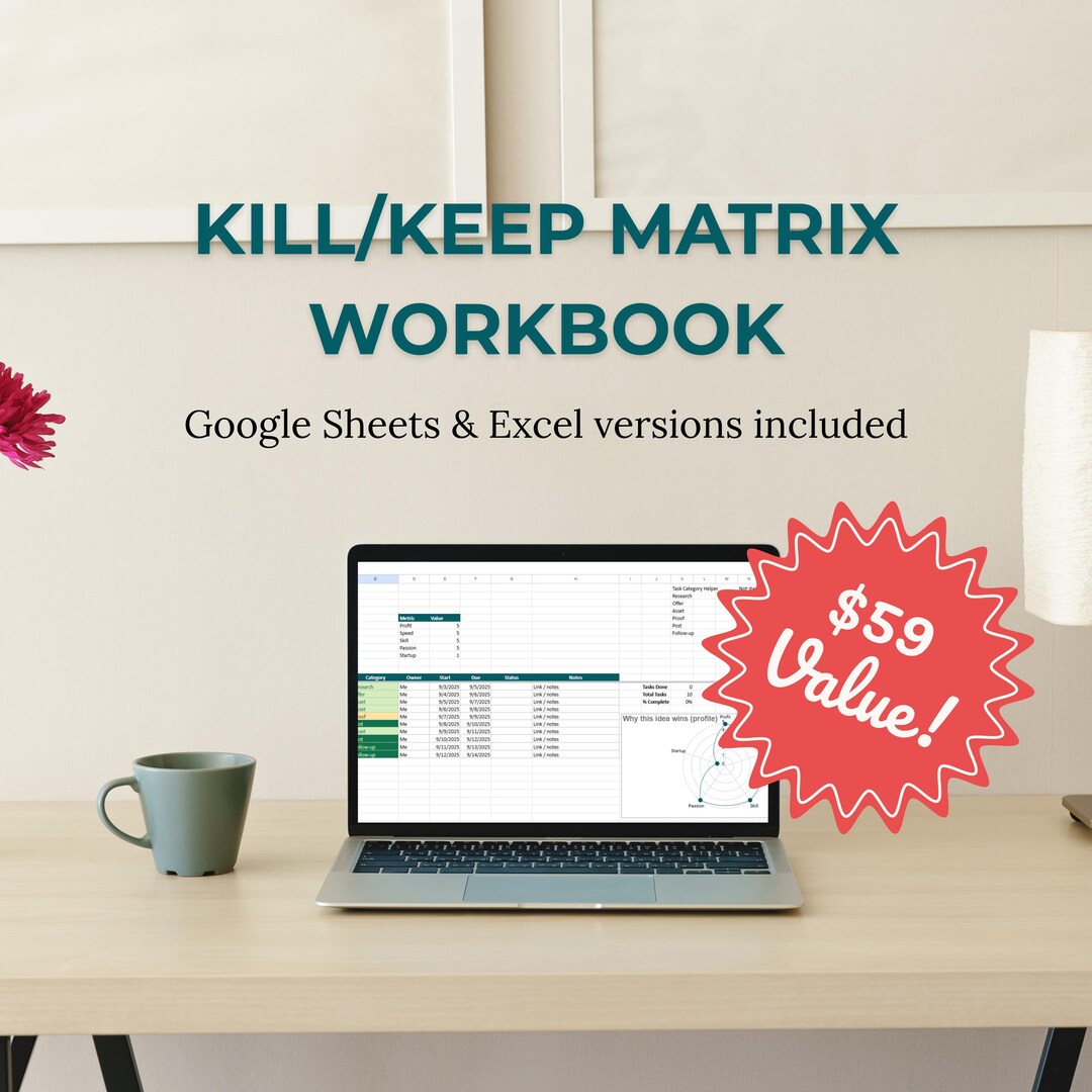 Kill/keep Matrix Focus Funnel Workbook | Business Clarity Spreadsheet ...