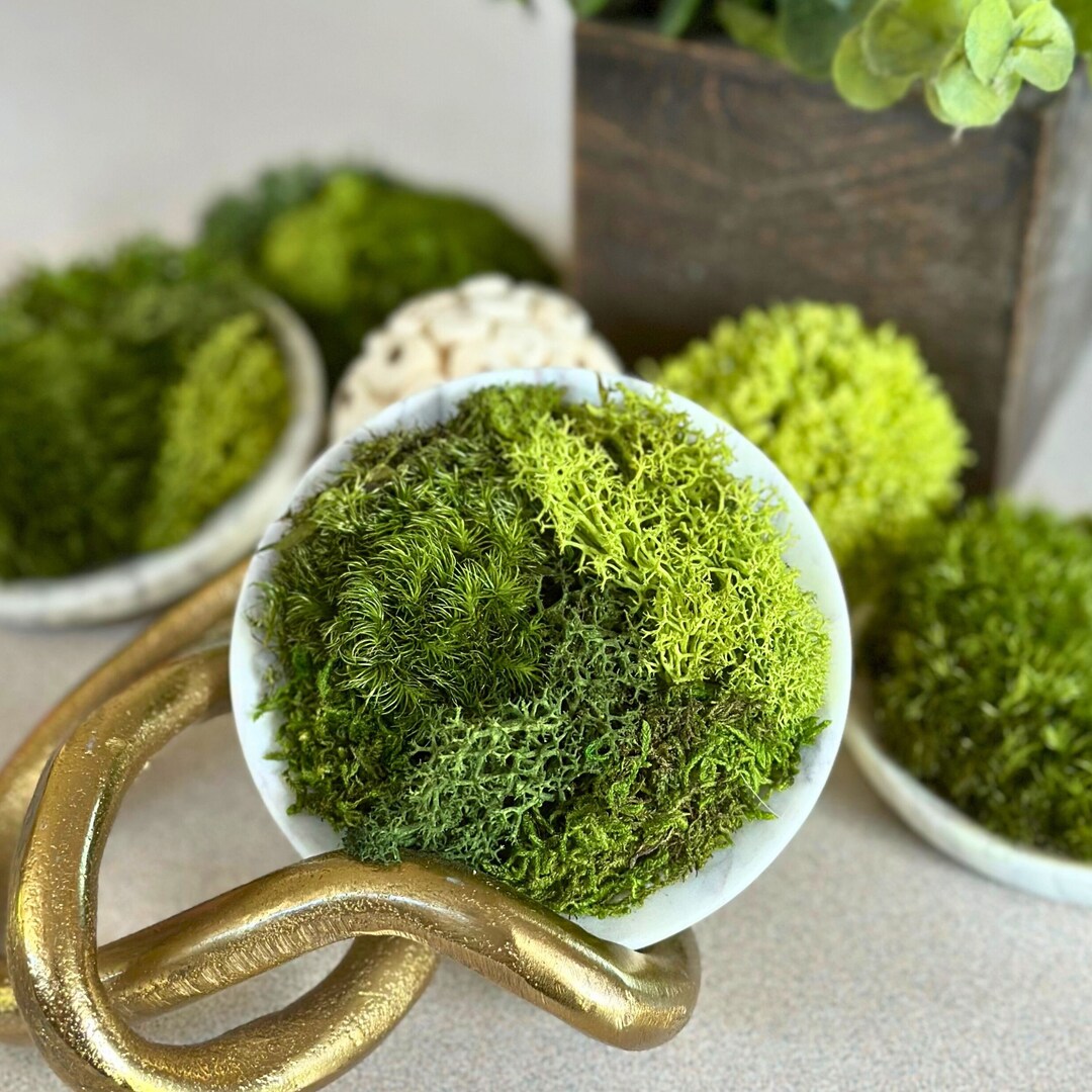 Luxury Marble Moss Fairy Bed, Preserved Moss Fairycore Decor ...