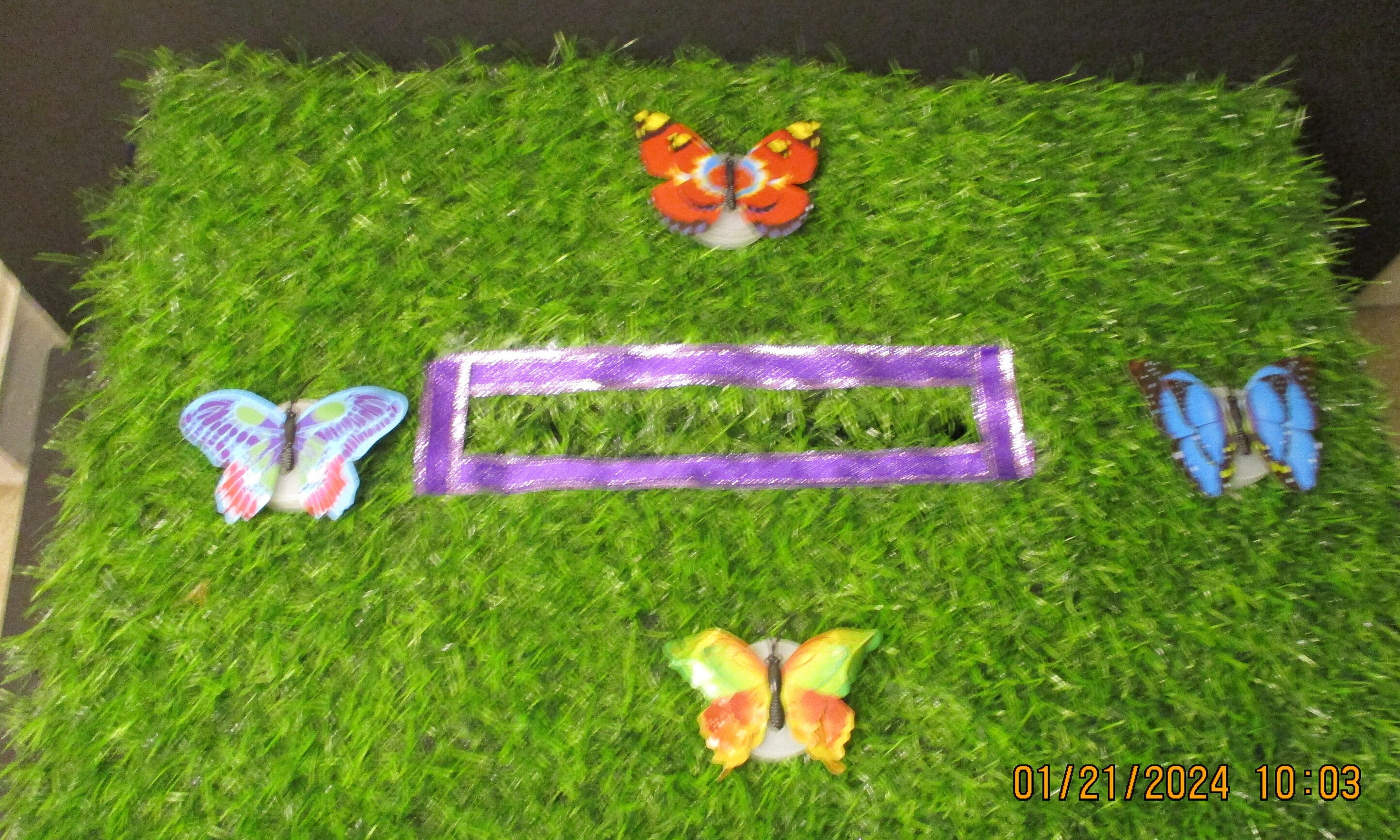 Enchanted Forest Light-up Card Box - Etsy