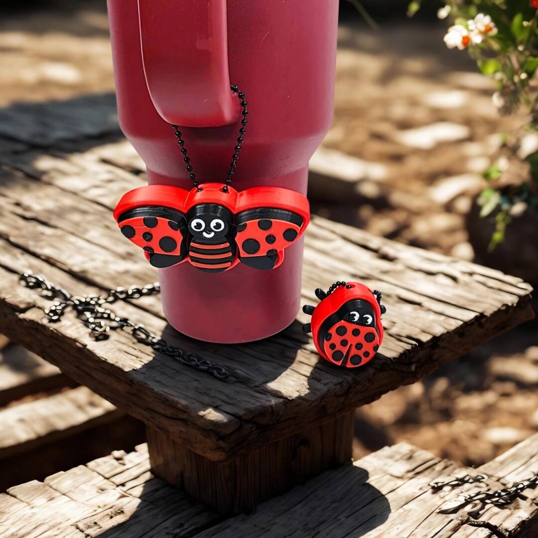 3D Printed Ladybug Fidget Clicker Keychain – Open Wings or Closed Wings ...