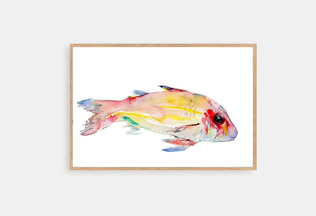 Original Watercolor Fish Painting, Fish Art, Minimalist Wall Decor - Etsy