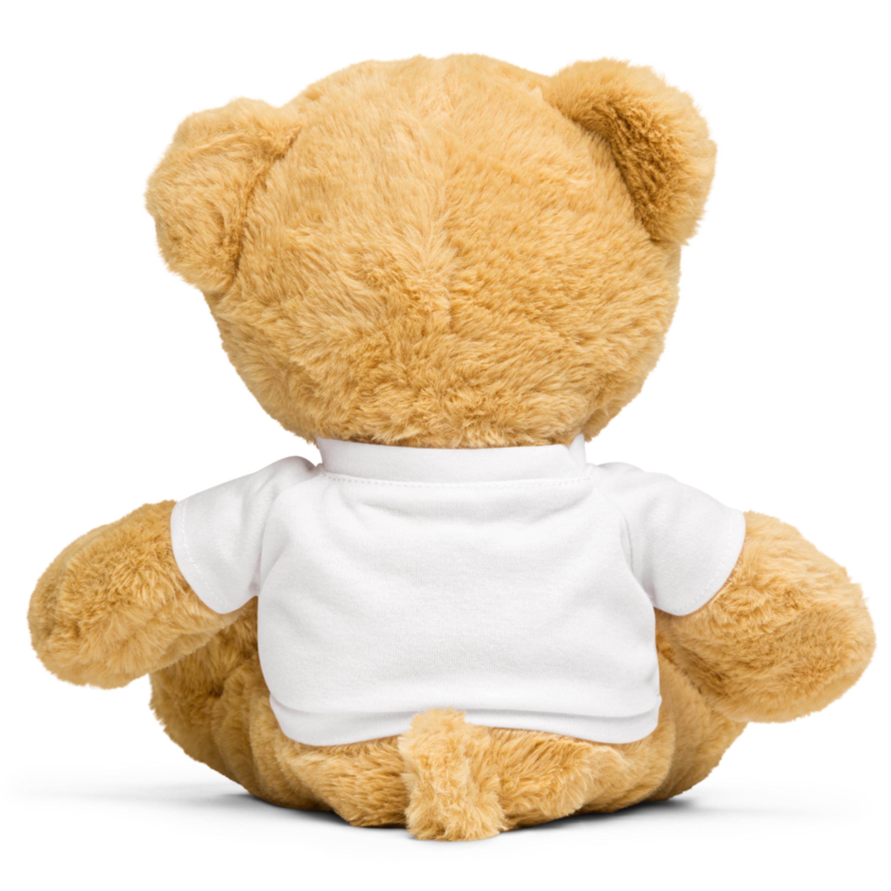 Teddy Bear Living Kidney Donor Gift Organ Donation Thank You Gift Post ...