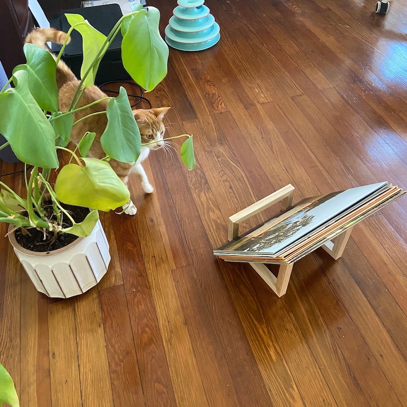 Handmade Hardwood Vinyl Record Storage Display Rack, Free Shipping ...