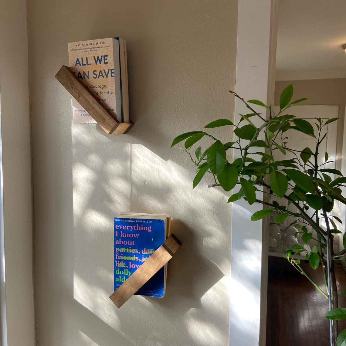 Handmade Wall Mounted Wooden Book Display Floating Shelves (set of 3 ...