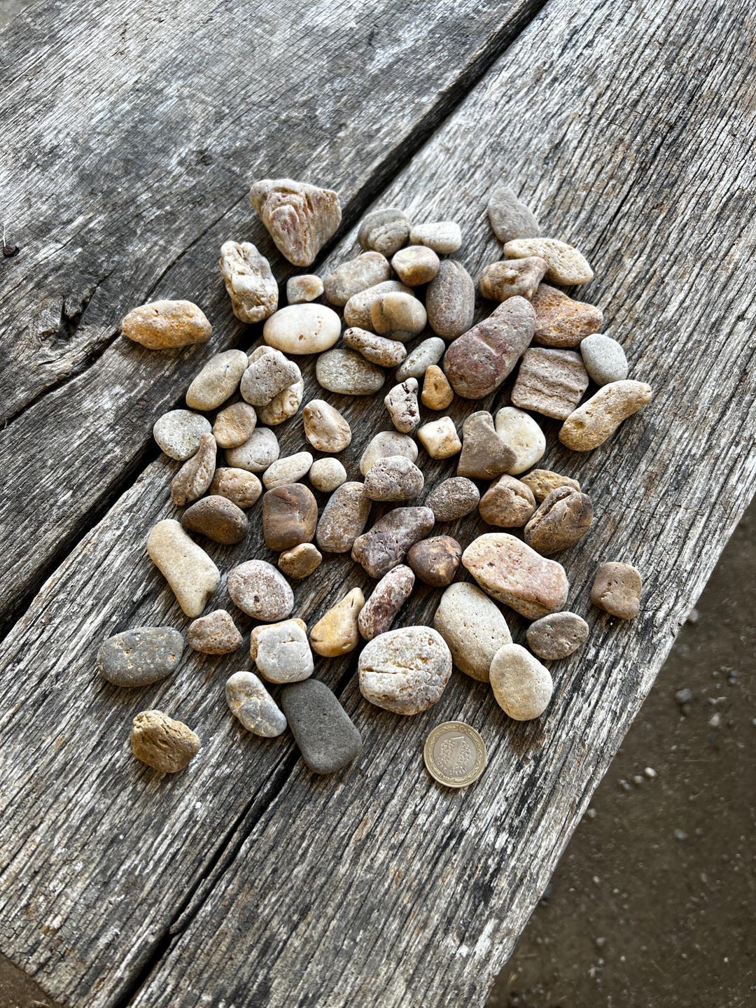 50 Tiny Genuine Beach Pebbles, Beach Pebbles for Crafts and Decoration ...